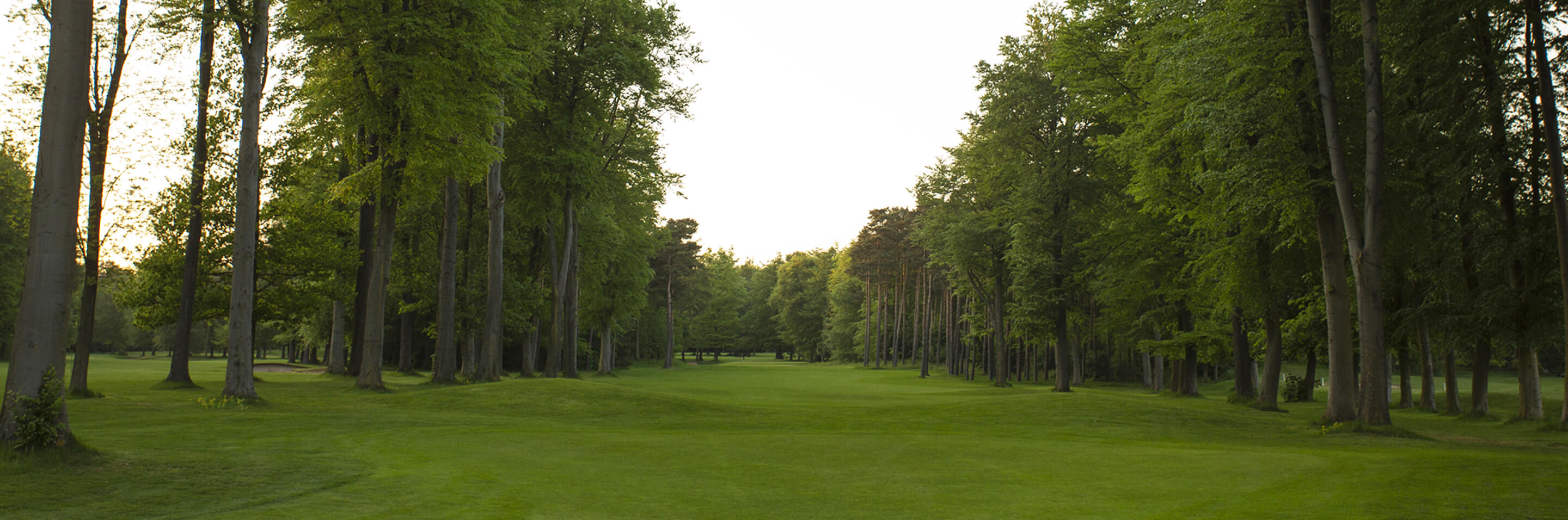 Golf Course in Lincolnshire | Forest Pines Spa & Golf Resort